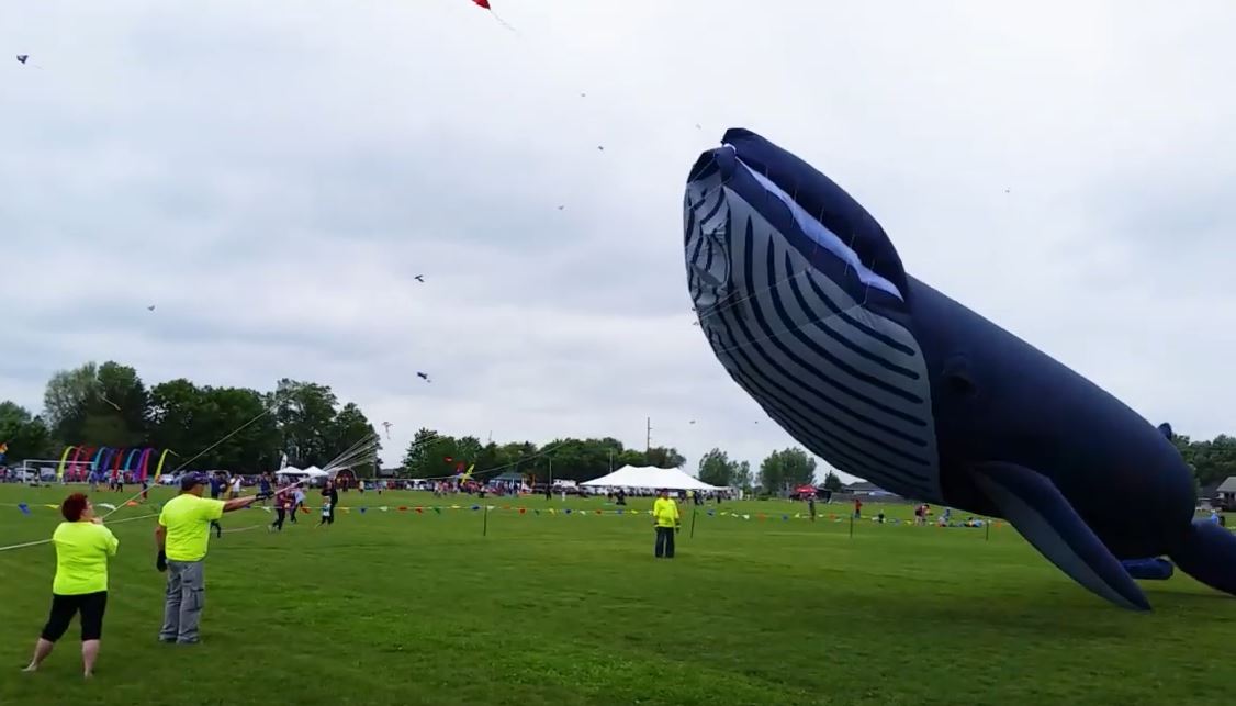 Events | Wisconsin Kiters Club Clubhouse